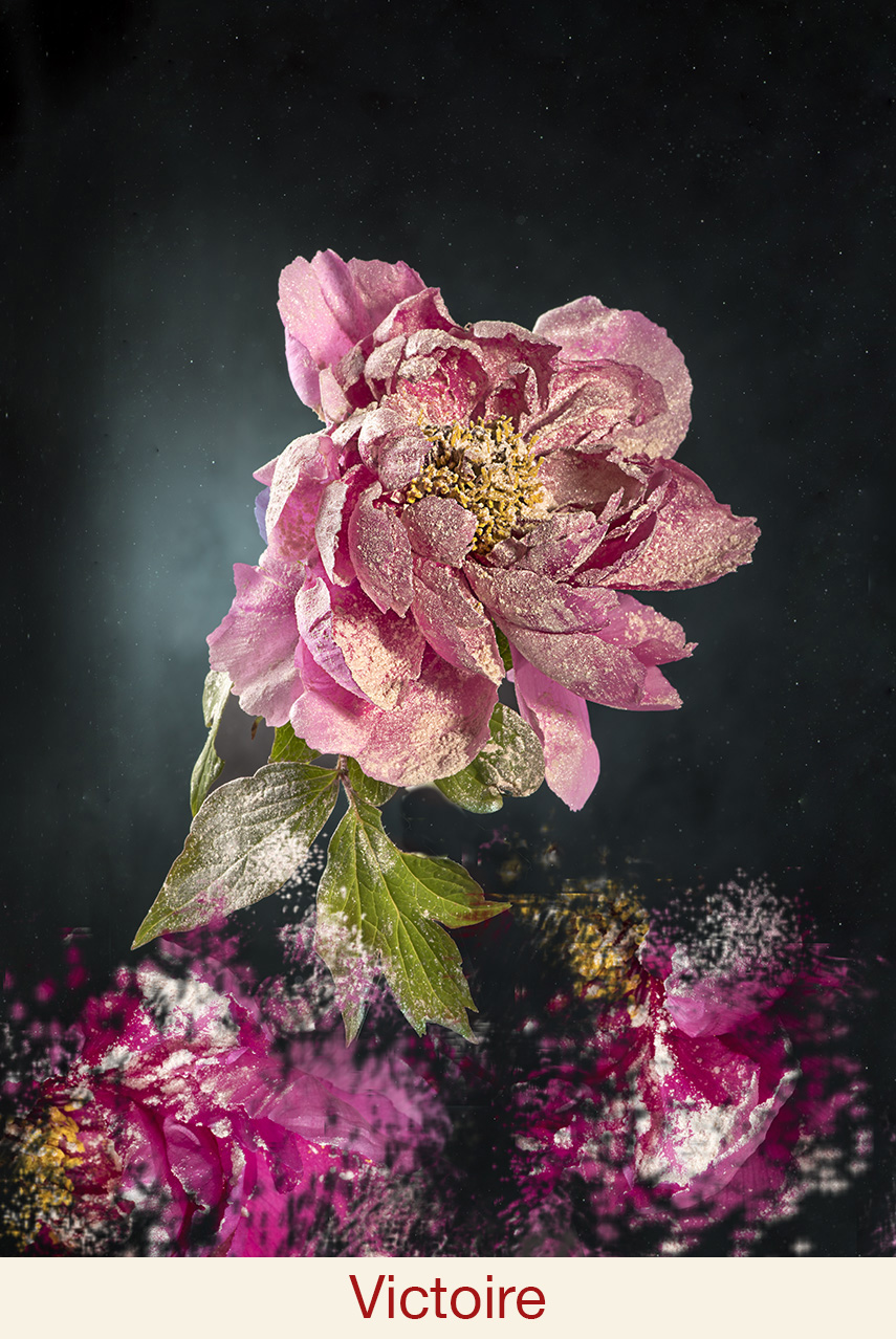 Woytek Konarzewski | Galerie Terrain Vagh